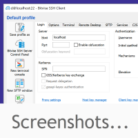 Bitvise SSH Client | Bitvise
